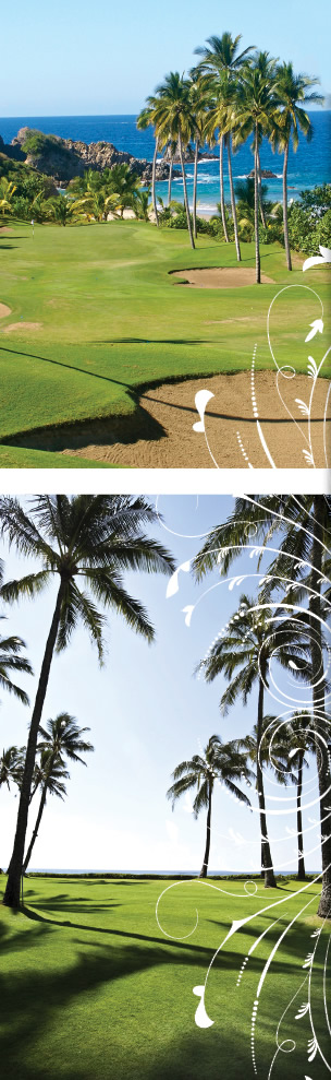 Newsletter Viveros Resort - June